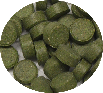 Food tablet green bottom 35G - Fishden Aquatics