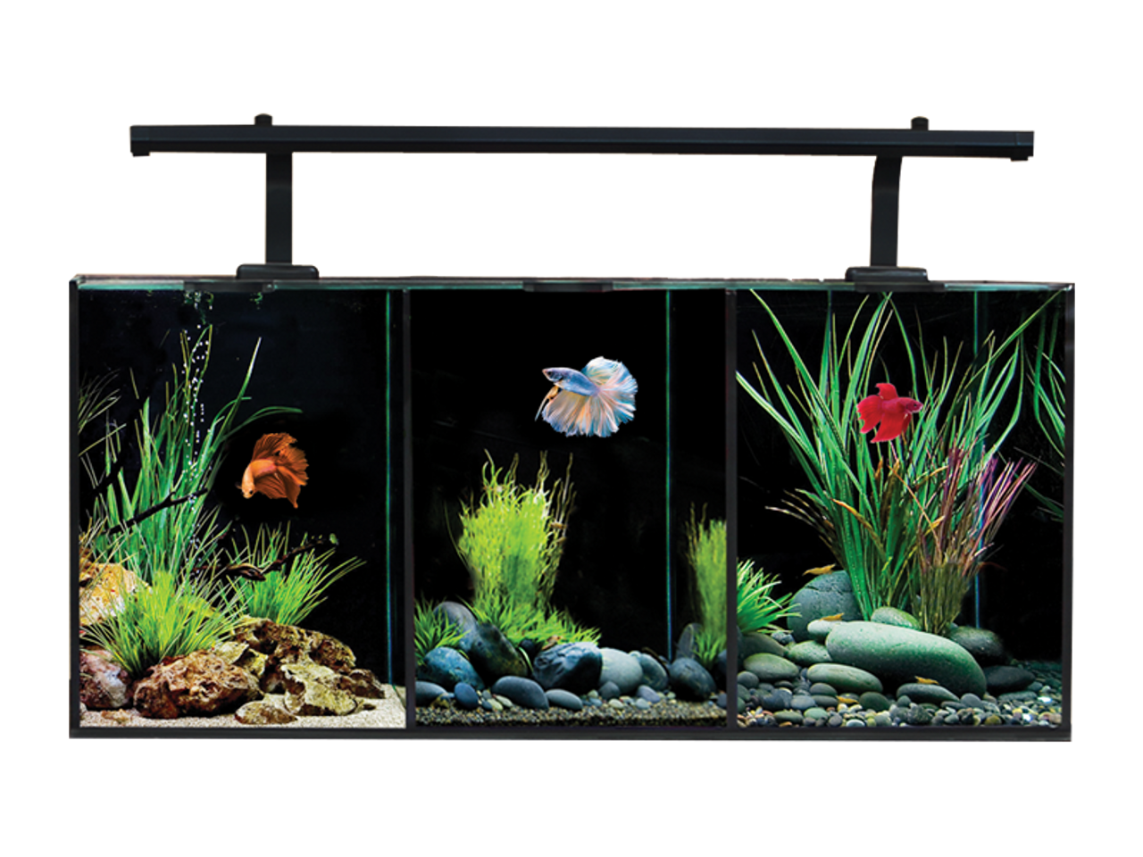 Aqua One Betta Trio Aquarium - Fishden Aquatics